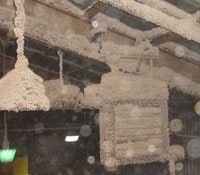 Dust Explosion Standard Gets Significant Revisions | Chemical Processing | Chemical Processing