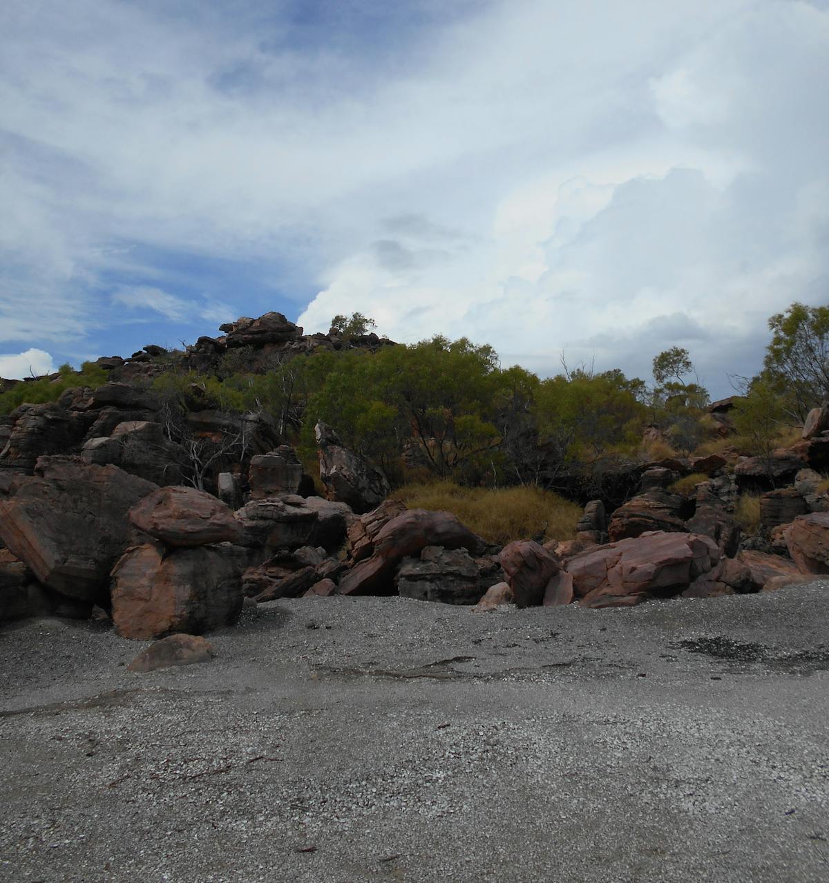 Process Safety: What Are Your Shell Middens? | Chemical Processing