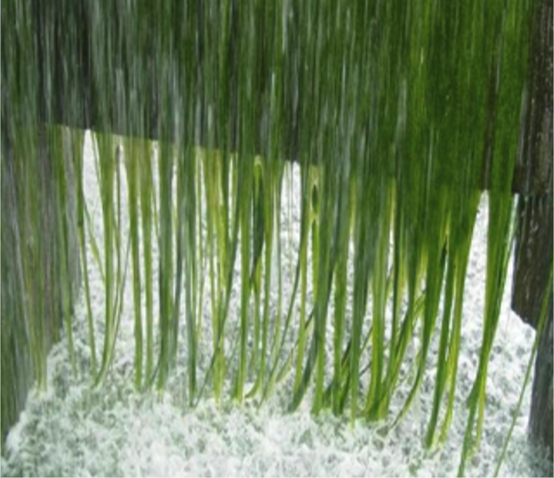Cooling Towers: A Critical but Often Neglected Plant Component – Part 2 ...